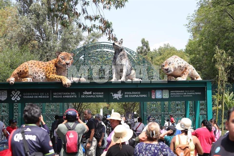 Festejan centenario del Zoológico de Chapultepec